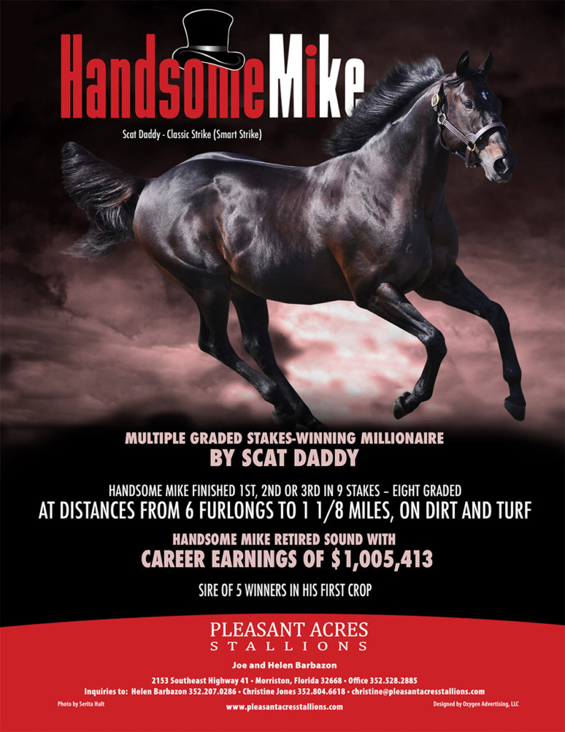 equine-HANDSOME-MIKE-PAS | Oxygen Advertising